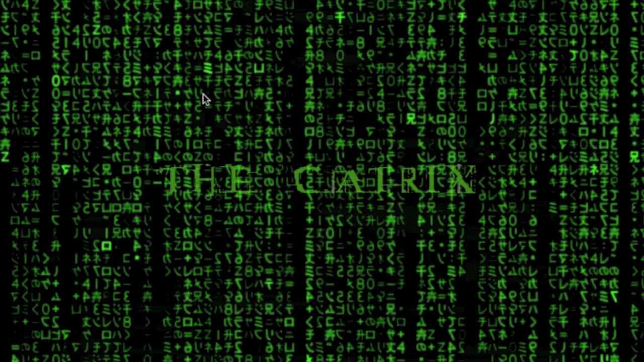 The Catrix Trailer (Matrix Parody) - YouTube The Catrix Trailer (Matrix Parody) - YouTube