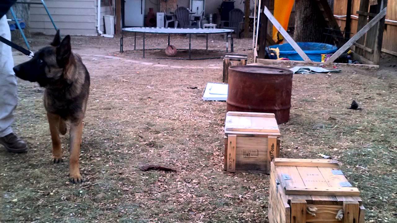 Oscar training 6 - YouTube