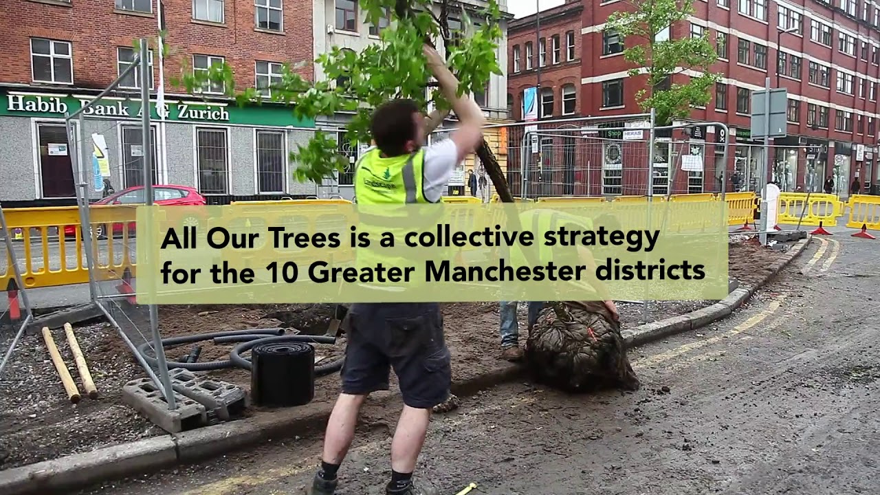 All Our Trees: Greater Manchester's Tree & Woodland Strategy - YouTube
