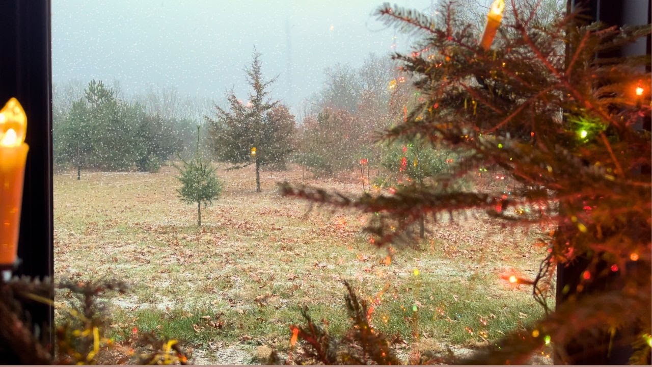 Cozy Snow Day Cozy Christmas Music Watching the Snow Fall - YouTube