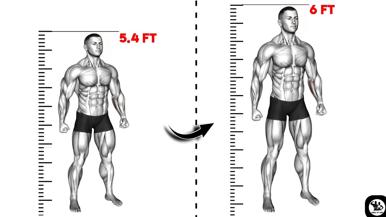 "Do you want to INCREASE your HEIGHT.?Try These Height-Increasing ...