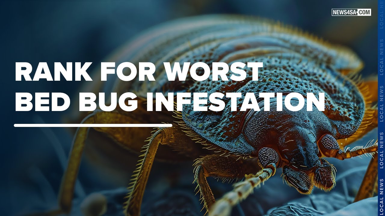Worst Cities for Bed Bug Infestations - YouTube