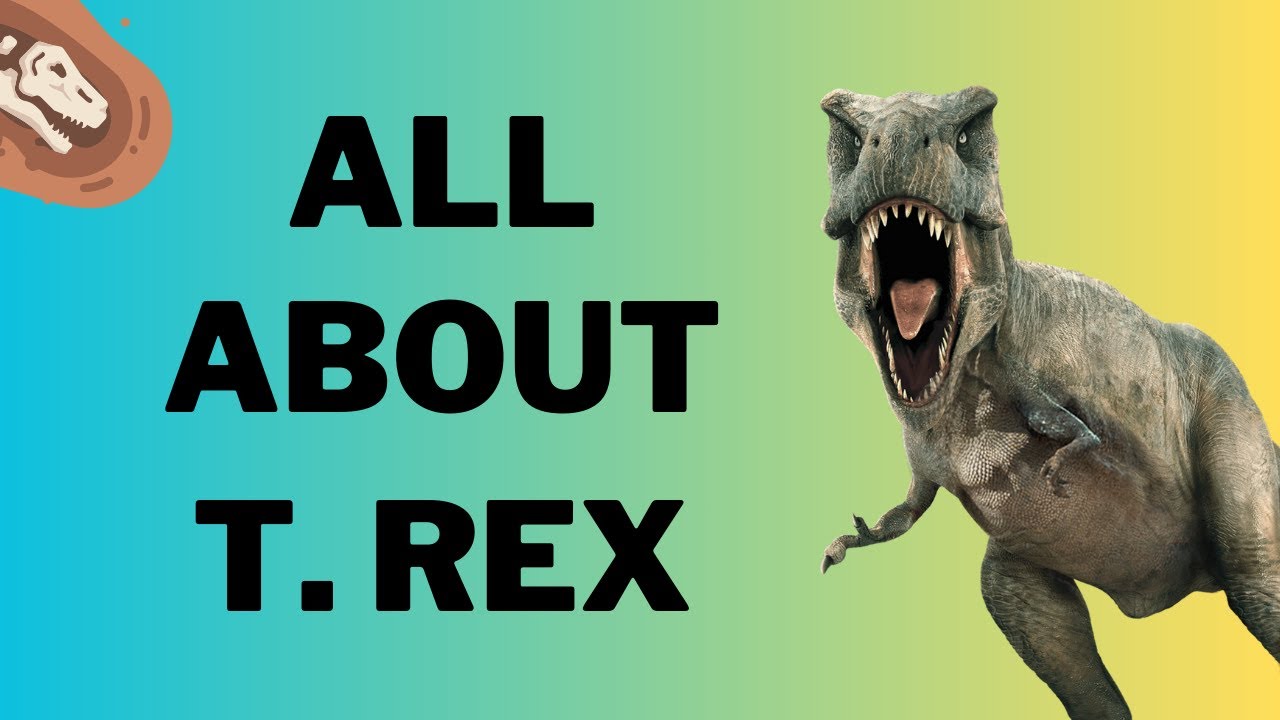 T. Rex for Kids - Everything You Need To Know - YouTube