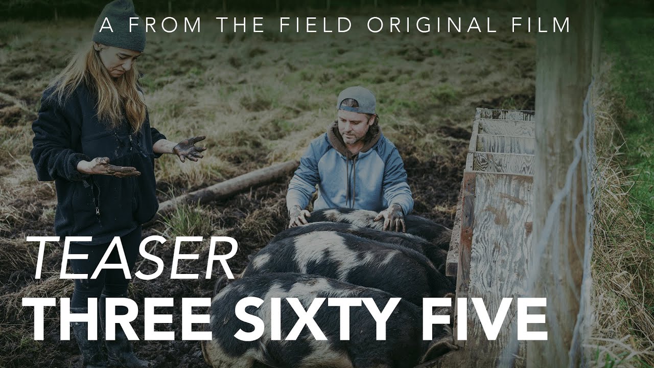 THREE SIXTY FIVE - 1 MIN TEASER [ RELEASING TOMORROW, FEB 25 ] - YouTube