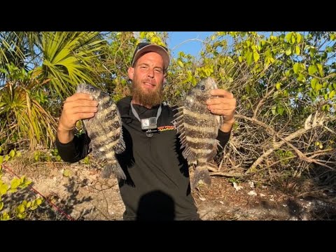 #18 🎣GET YOUR WORM WET 🪱 Southwest Florida 🐑Sheepshead fishing!! - YouTube