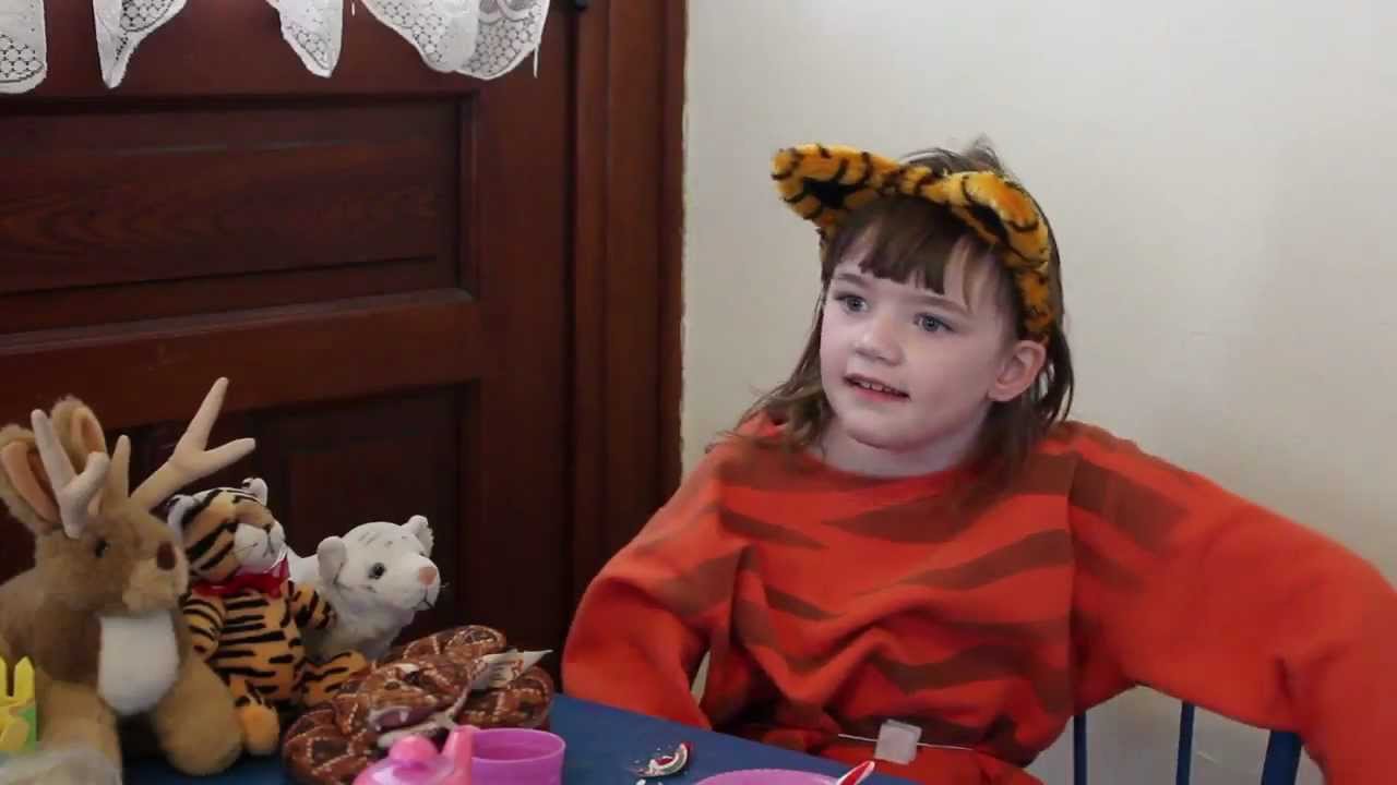 The Continuing Adventures of Tiger & Princess - Part 1 - YouTube