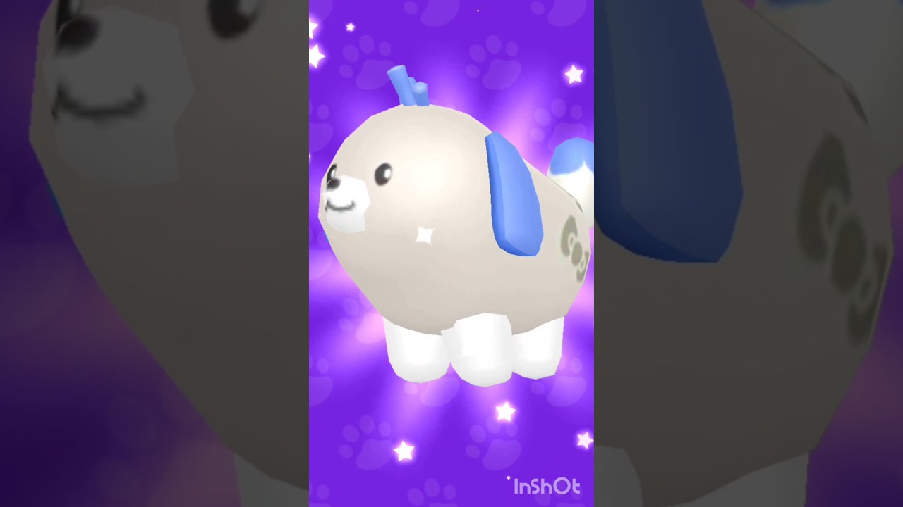 Rideable Cutest Dog kitty - YouTube