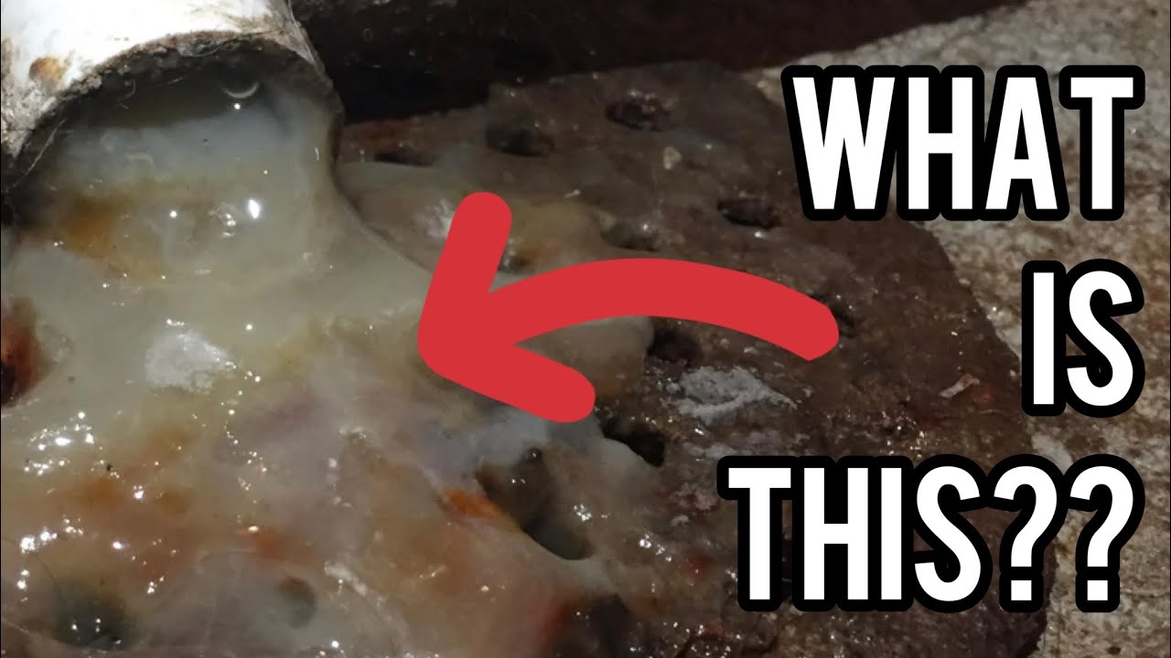 Talking Drain Slime With HVAC Tech Jessica YouTube talking-drain-slime-with-hvac-tech-jessica-youtube