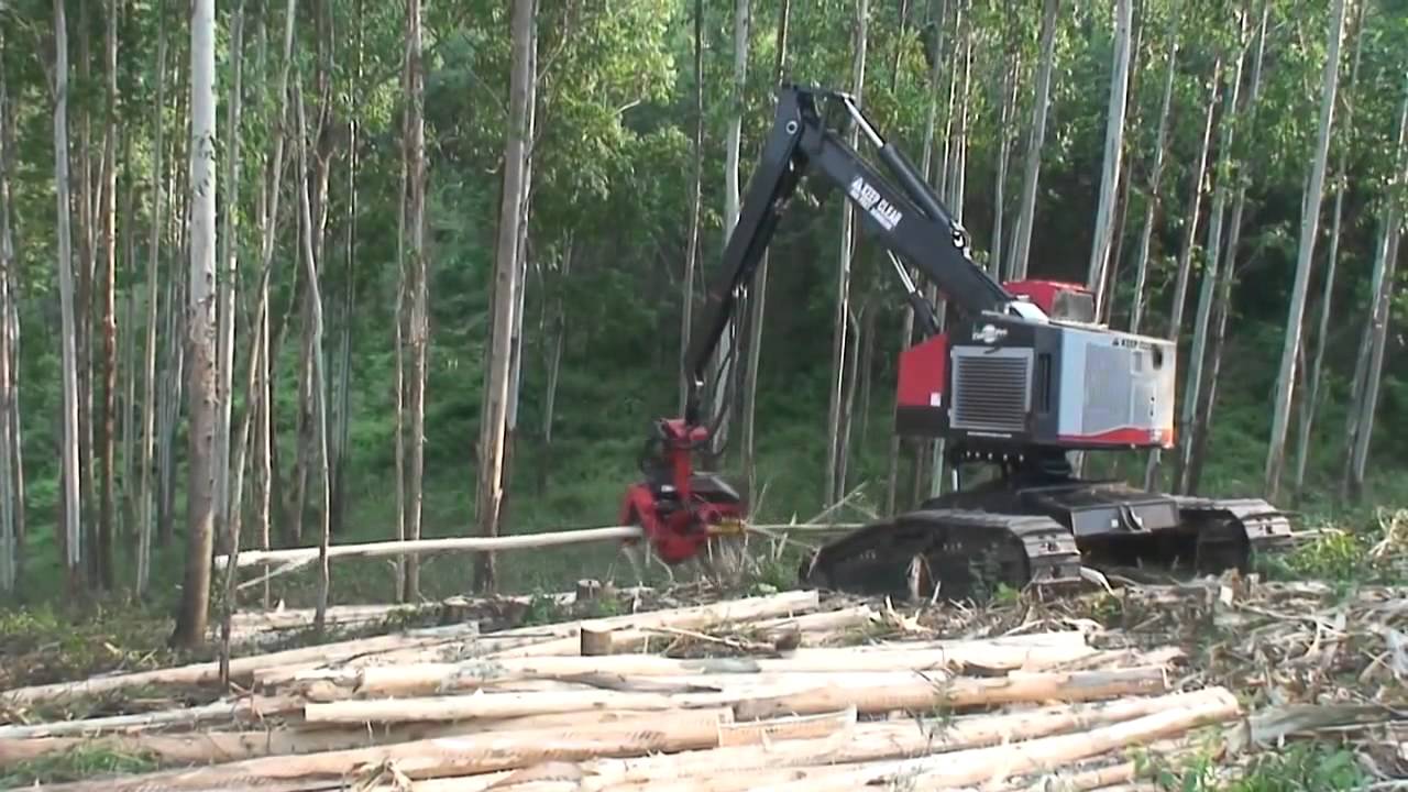 TimberPro TL725B with SP 591LX Harvester - YouTube