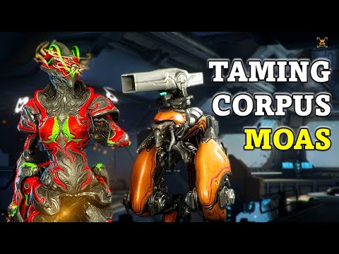 Warframes SECRET Free MOA help in missions