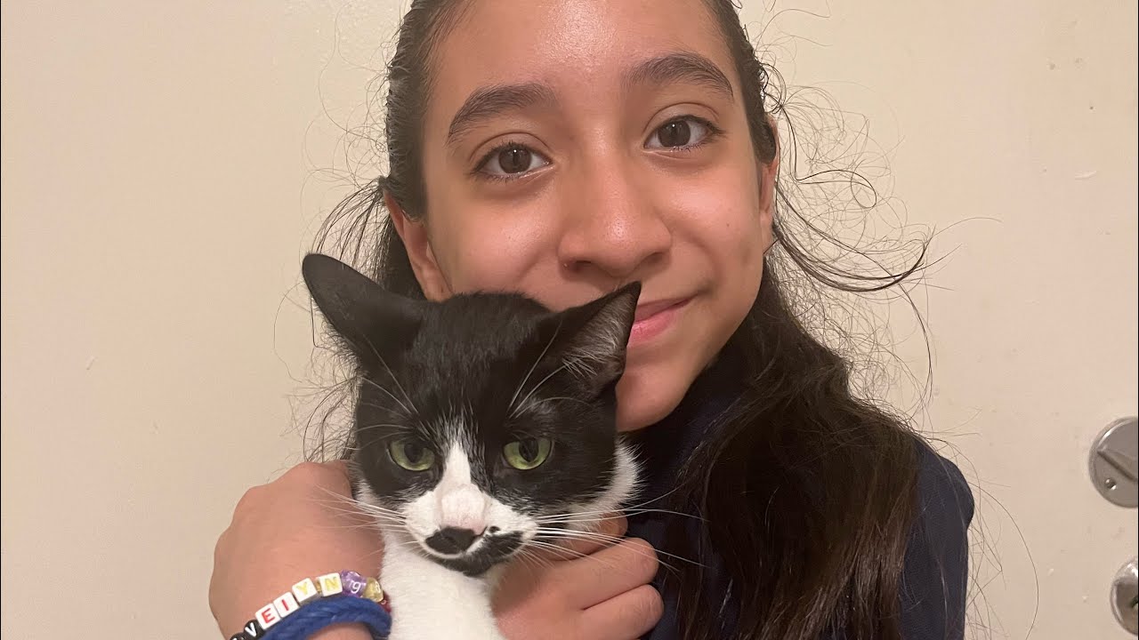 Part 2 of showing pandy’s friends!! (CATS)🐱 - YouTube