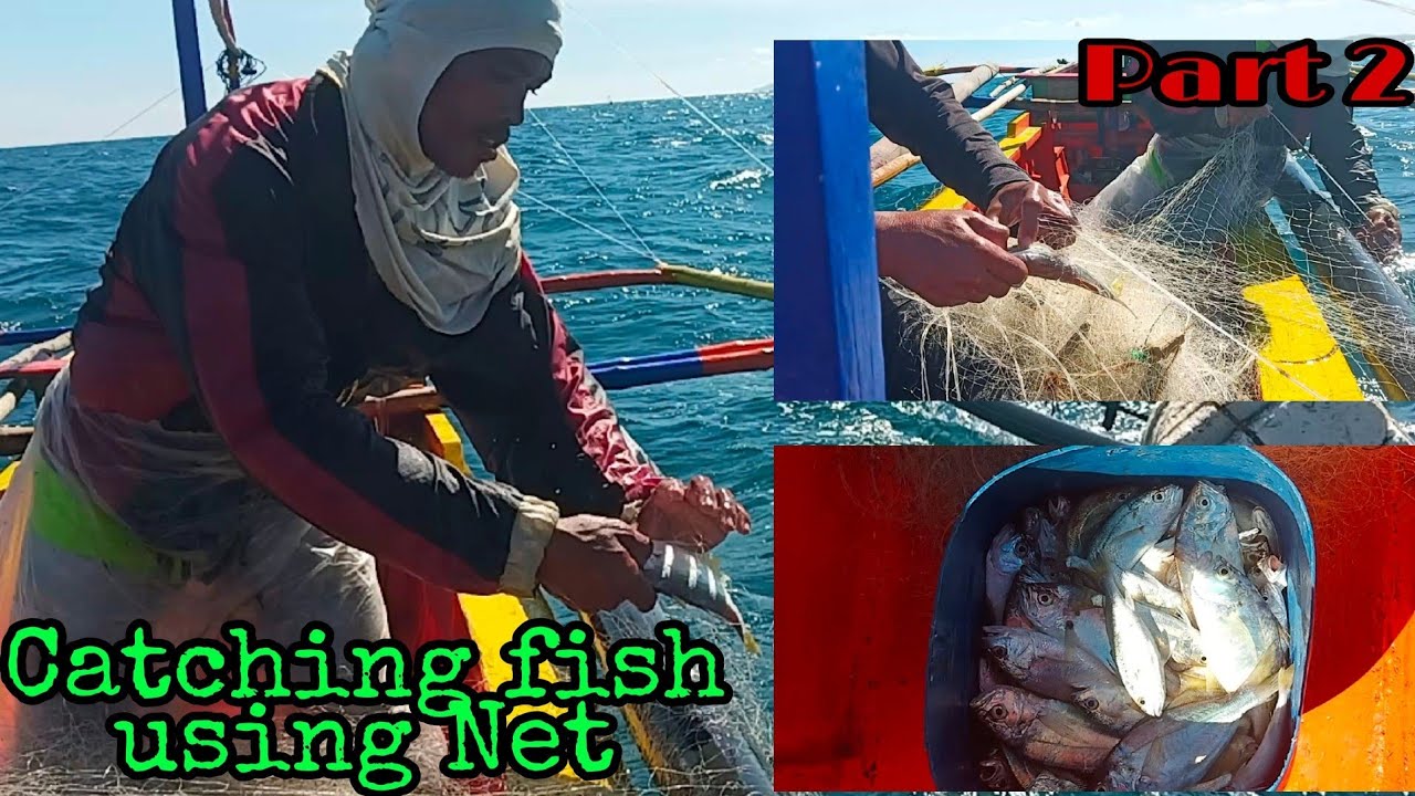 CATCHING FISH USING NET OR LAMBAT PART 2 | KABAYAW TV - YouTube