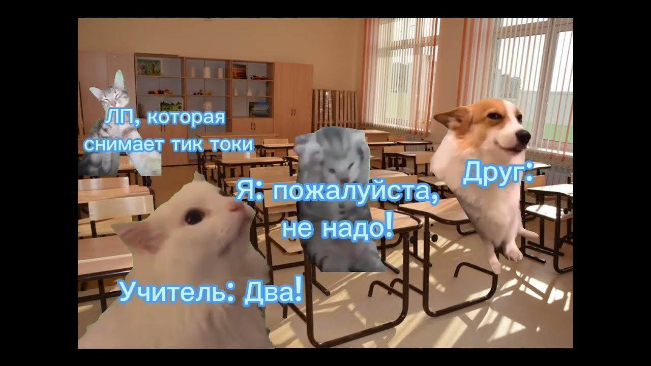 Кошачья жизнь 🐱 Все серии (1 - 3) Сборник #1 - YouTube