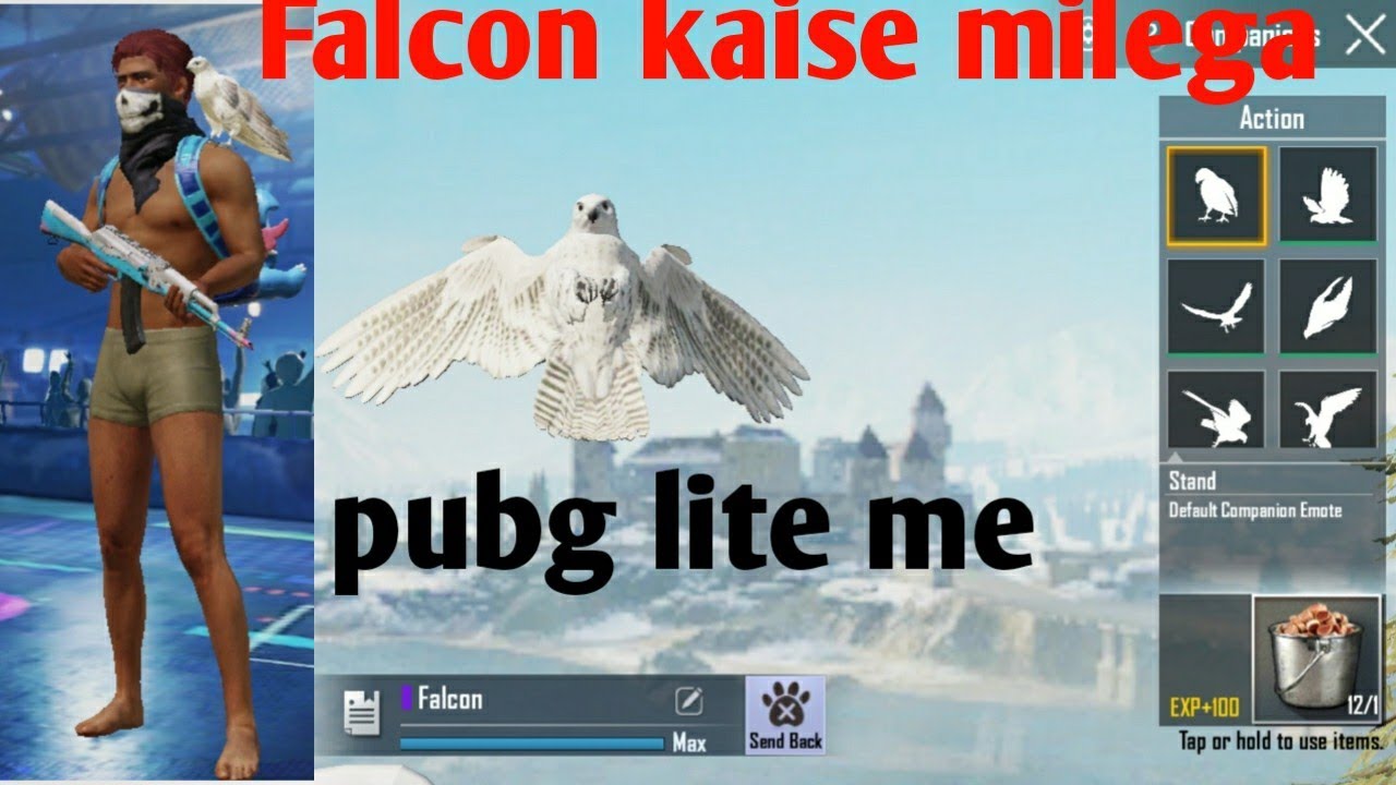 How to unlock falcon companion pubg mobile lite || falcon in pubg lite ...