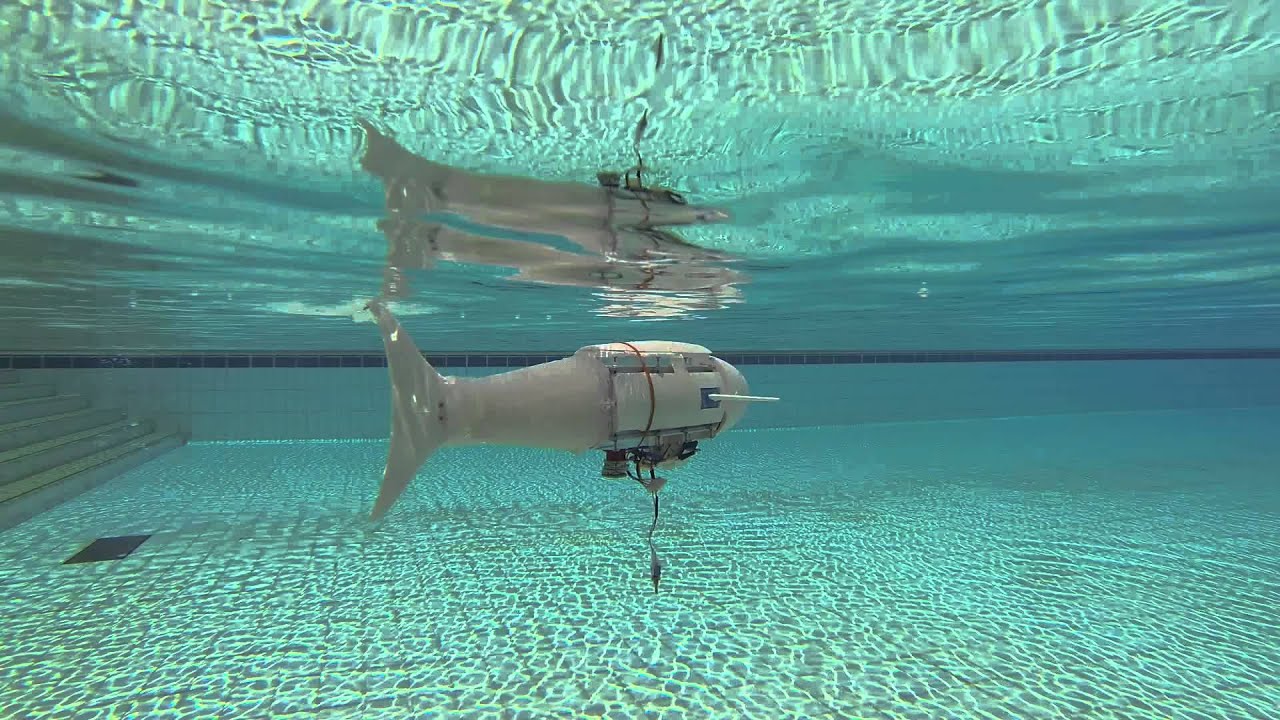 Biomimetic Robotic Fish - Prototype 3 - Swimming pool test - 1 - YouTube
