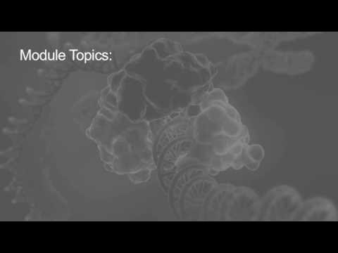 Module 2 Overview - YouTube