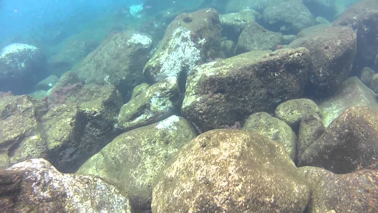 Snorkeling Azores - YouTube
