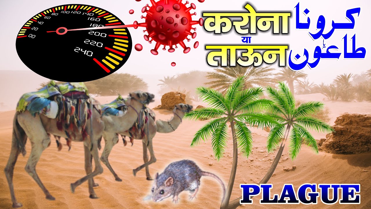 Taoon I Taoon Per Hadees I Urdu Hai Mera Naam - YouTube