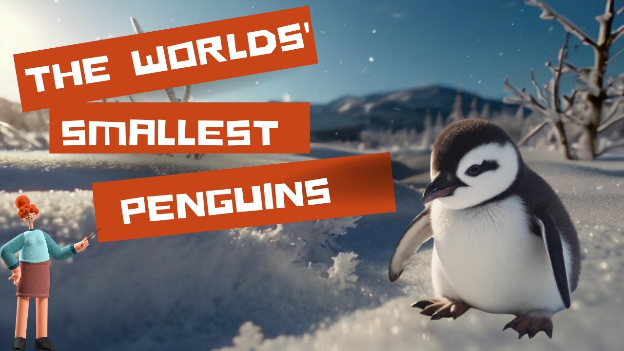 The Little Blue Penguin- The World's smallest penguin #factsvideo - YouTube