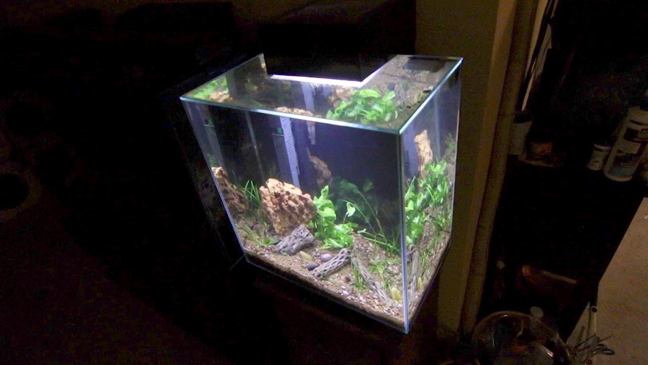 Fluval Edge Rescape - YouTube