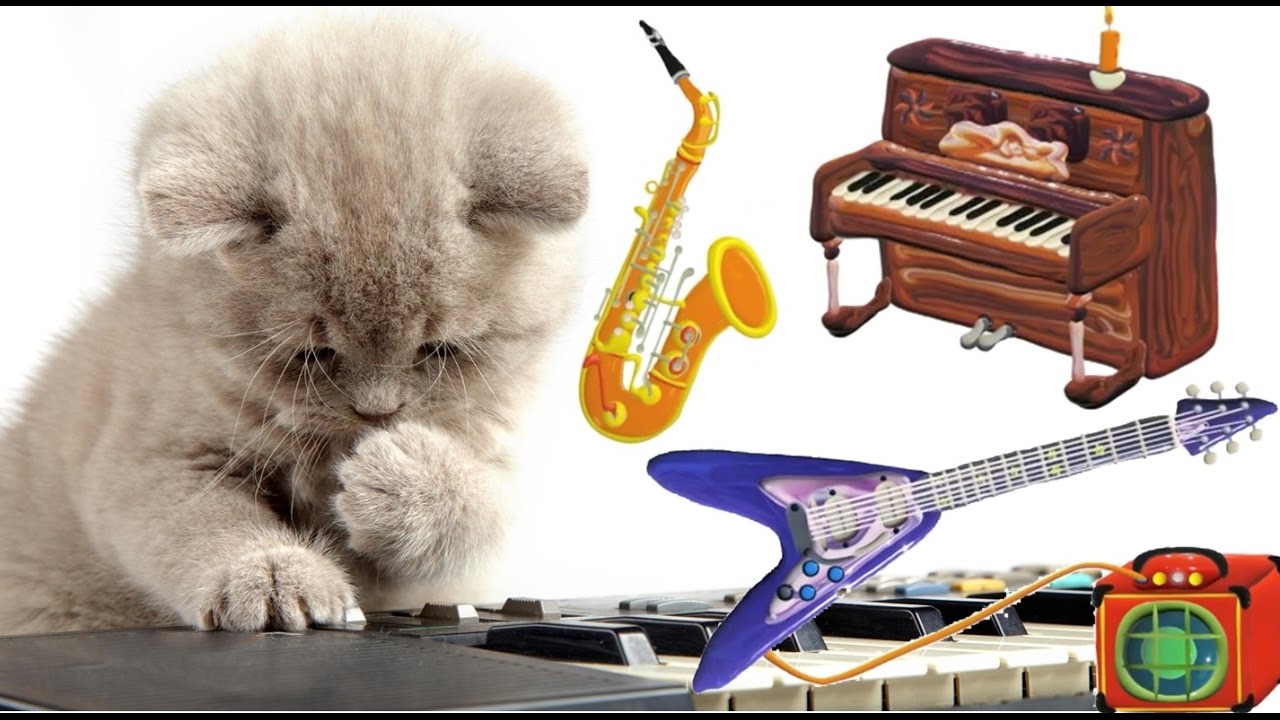Musical Instruments for Kids – The Little Orchestra | MusicMakers with ...