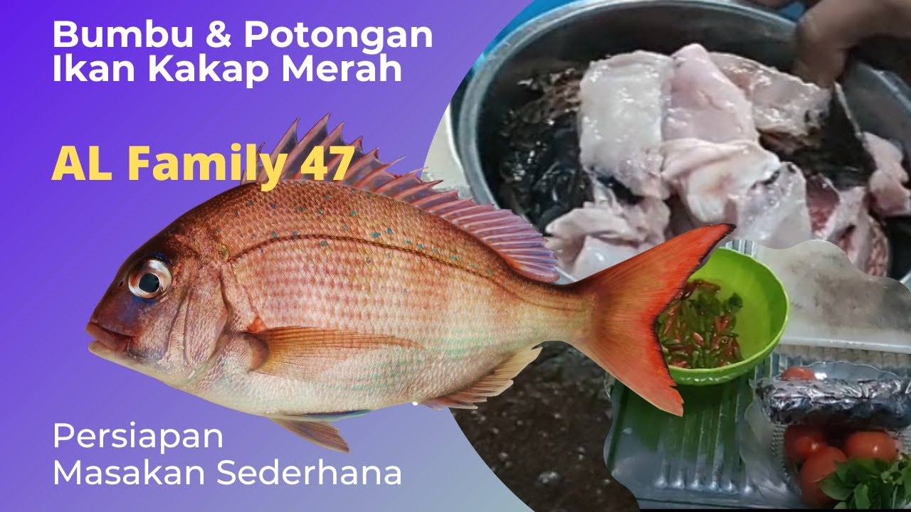 Masakan Ikan Kakap Merah || Potongan dan Bumbuh Sederhana - YouTube