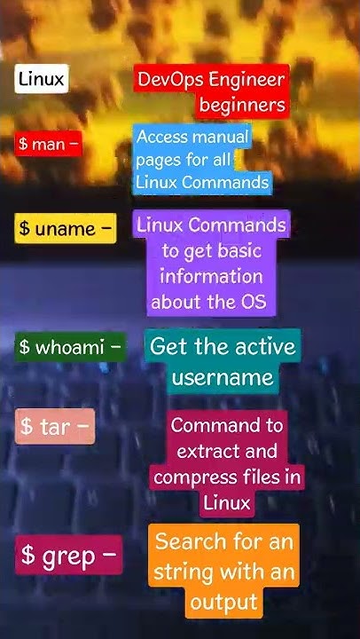 learn Linux Commands for DevOps Beginner - YouTube