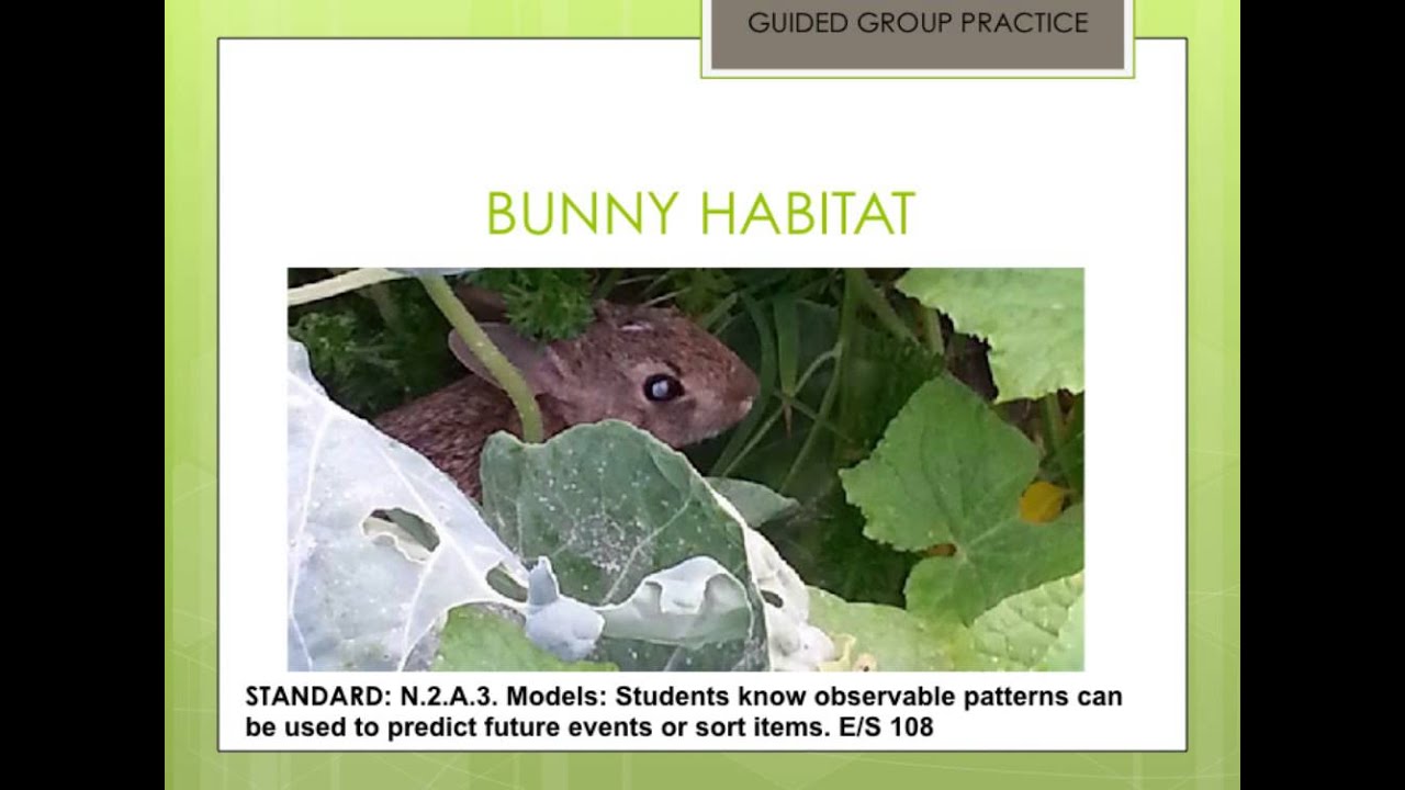 Habitat Lesson Plan - YouTube