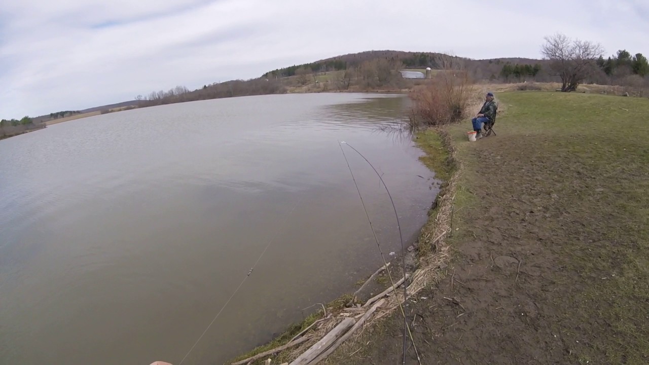 Bullhead at case lake. - YouTube