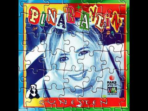Pınar Aylin - Adam Olaydın (1997)