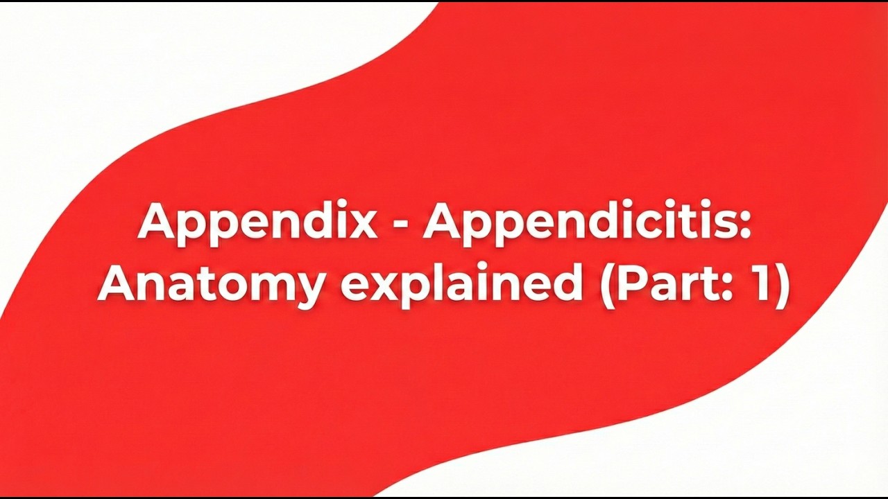 Appendix - Appendicitis: Anatomty explained (Part: 1) - YouTube