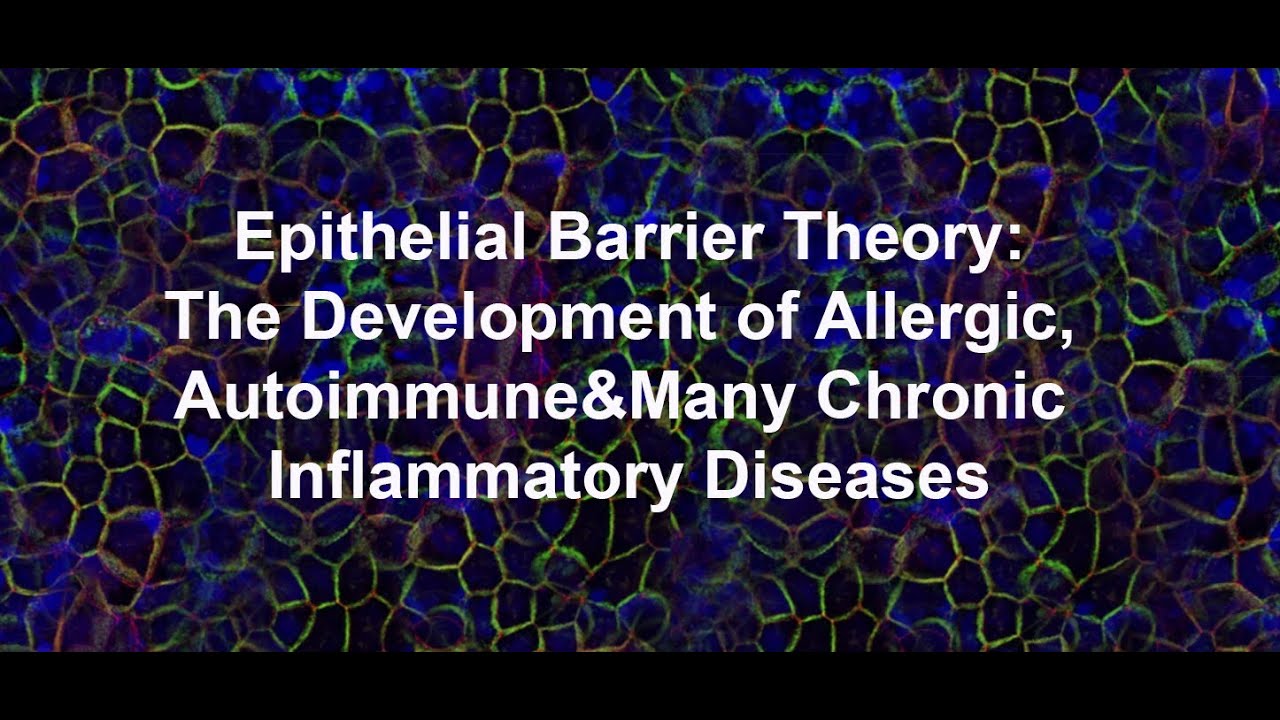 Epithelial Barrier Theory:The Development of Allergic, Autoimmune&Many ...