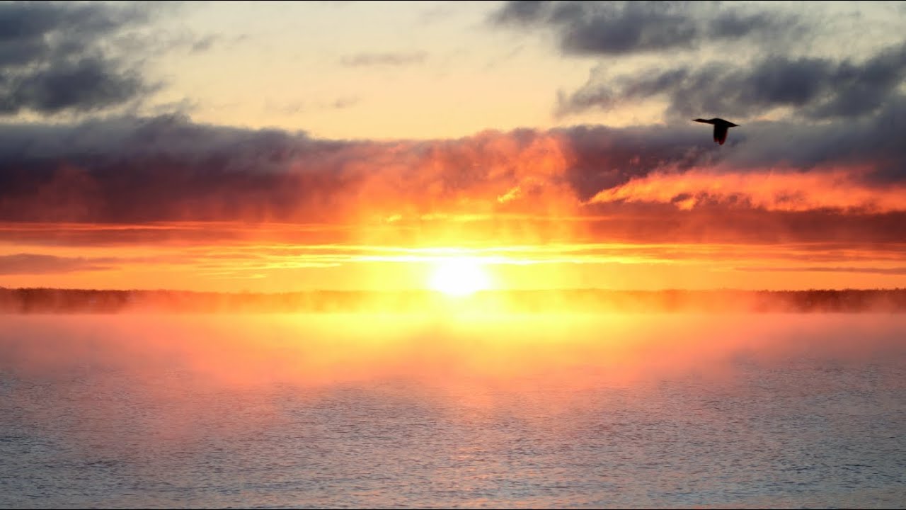 Not your usual January morning in Canada... - YouTube