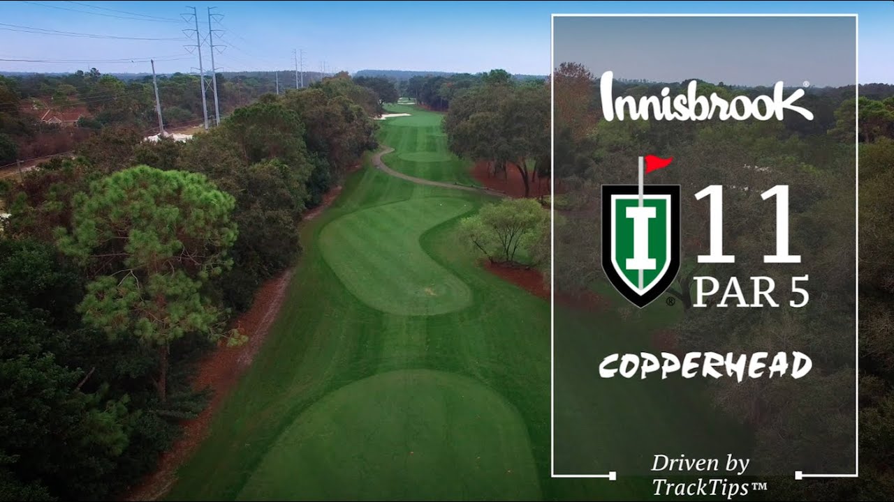 Hole 11 at Innisbrook Resort's Copperhead Course - YouTube