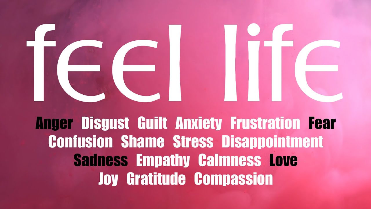 feel life (Official Music Video) - YouTube