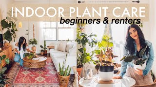 INDOOR PLANT CARE TIPS | For Beginners & Renters, Easy Care Houseplants from Vigoro, The Home Depot