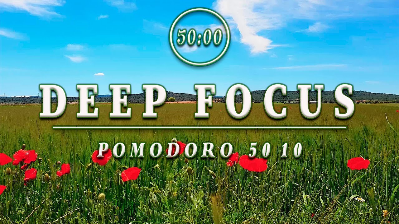 4-HOUR STUDY AMBIENCE 📖🌹Spring Ambience DEEP FOCUS🕒Pomodoro Timer 50/10 ...