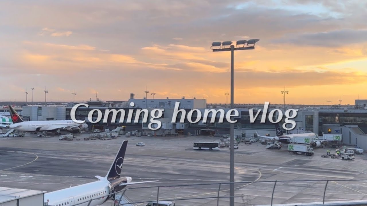 Comeback to Vietnam after 3 years with family | meet old friends | nhớ ...