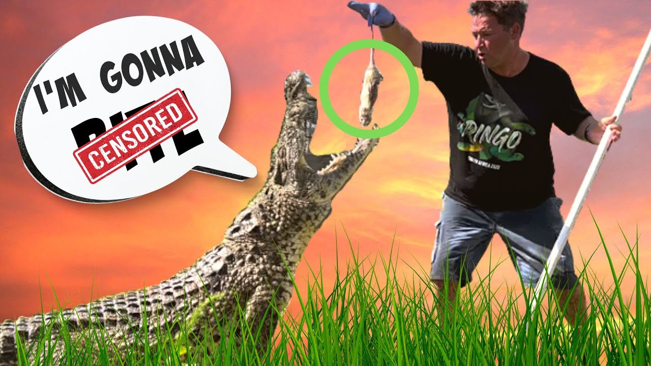 Deadly Crocodiles Chase Me! - YouTube