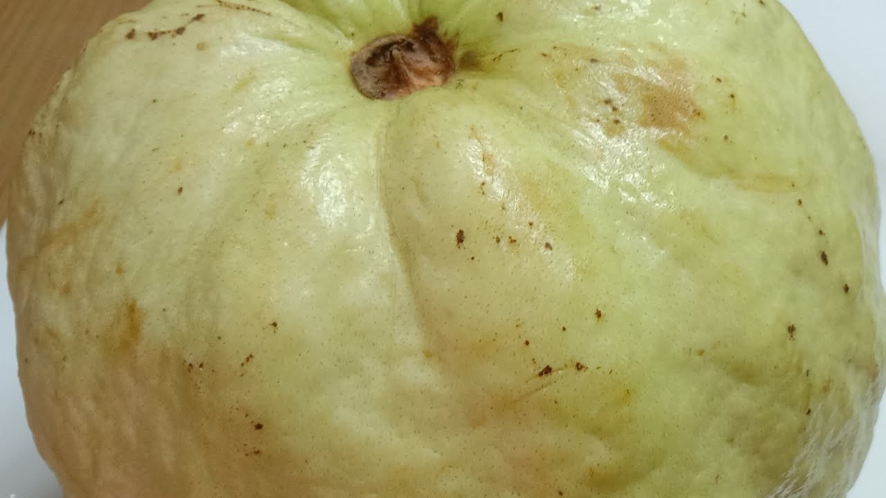 Let's Cut,Peel and chop the Guava Fruit 😋 to eat! - YouTube