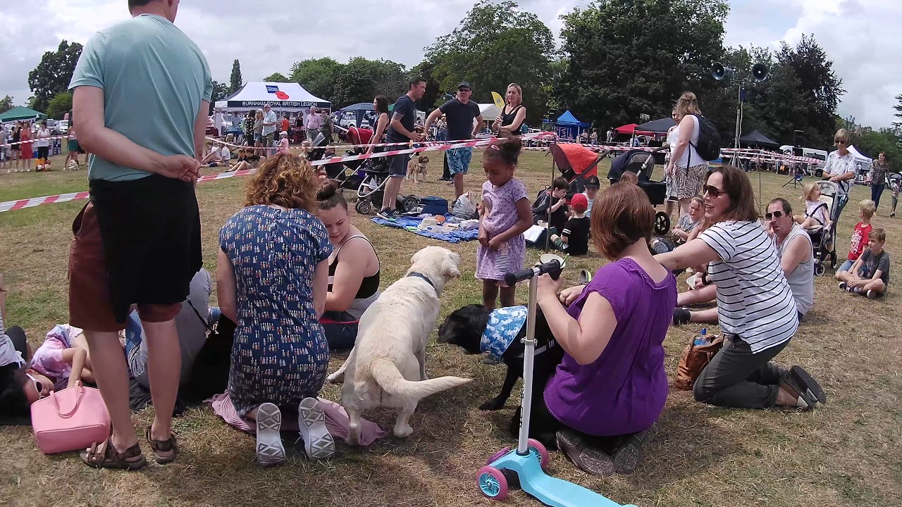 Burnham Village Fete - Dog show, children rides and Walnut tree - YouTube