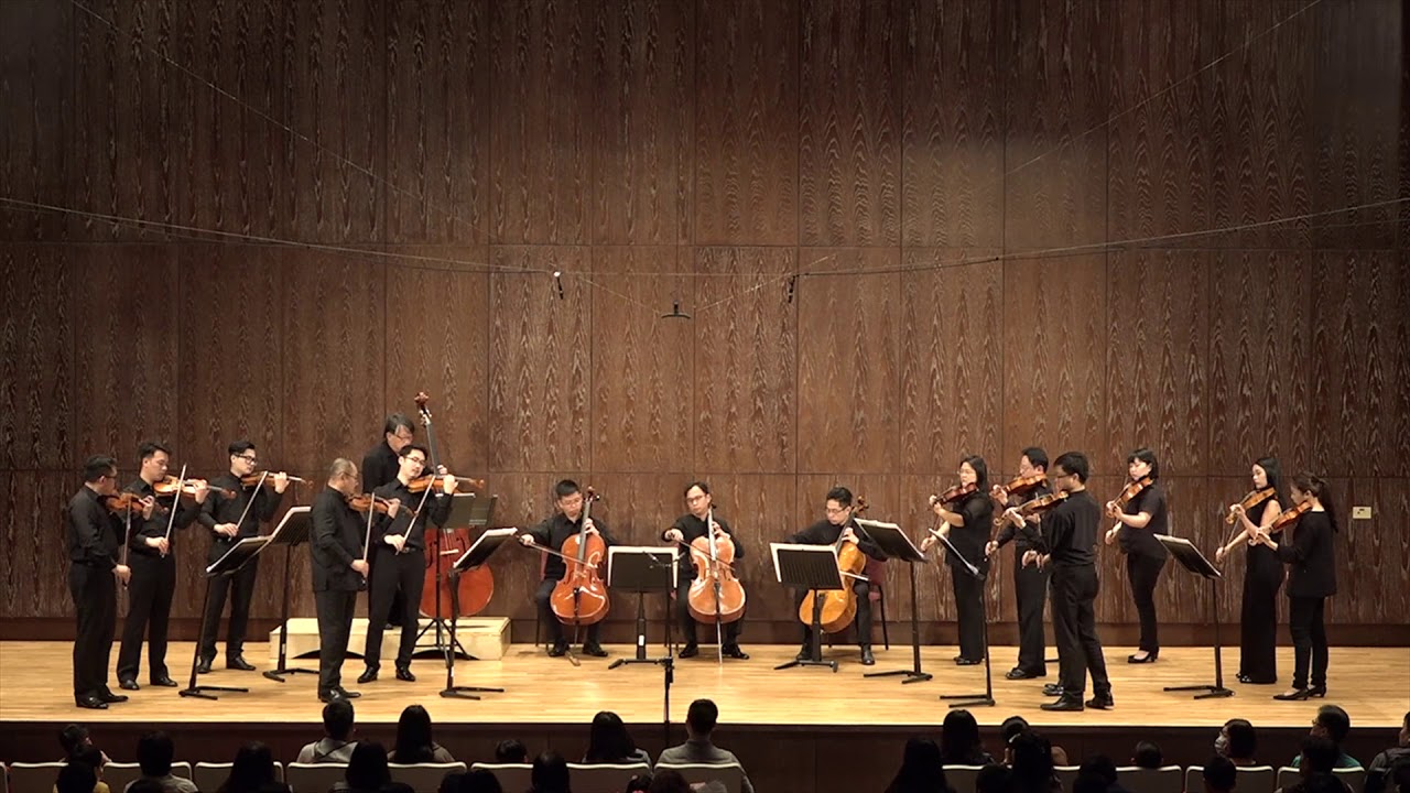 Concerto for Strings (Nino Rota) 2018年夏綠節慶室內樂團巡迴演出(兩廳院演奏廳) - YouTube