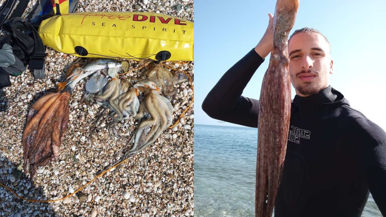 ΜΕΓΑΛΕΣ ΕΚΠΛΗΞΕΙΣ ΣΤΟ ΨΑΡΟΝΤΟΥΦΕΚΟ/BIG SURPRISES IN SPEARFISHING 🔱🐙🐟 ...