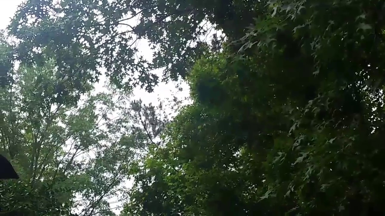 Strange deep trumpet shofar sound in the sky June 2017 - YouTube