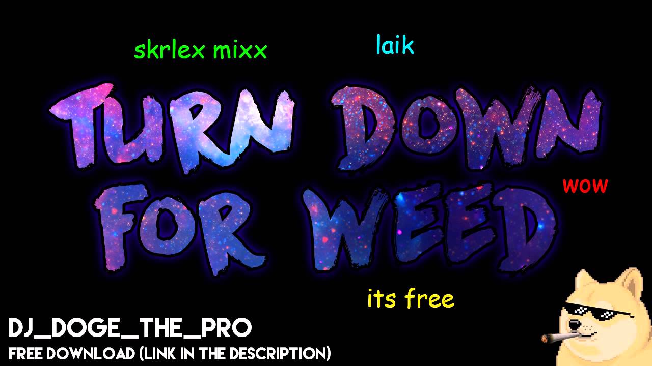 TURN DOWN FOR WEED (DJ_DOGE_THE_PR0) [FREE DOWNLOAD] - YouTube