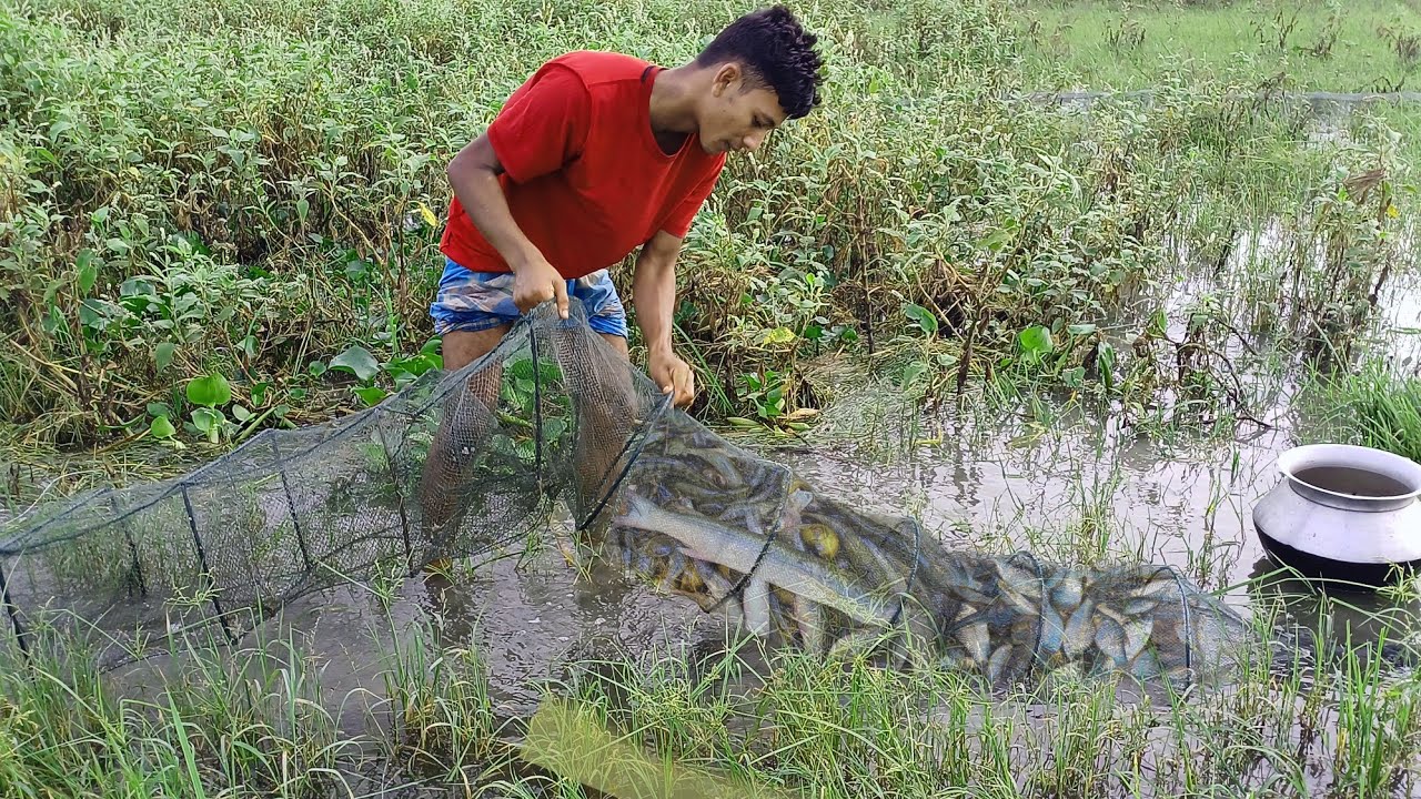 দুইটা চায়না জাল দিয়ে প্রতিদিন ১০০০-১২০০ টাকার মাছ বিক্রি করে | China ...