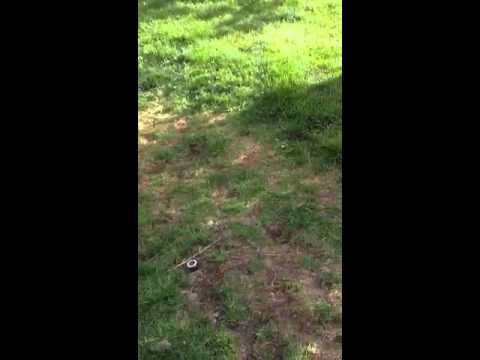 Eli Fronk Goes Golfing