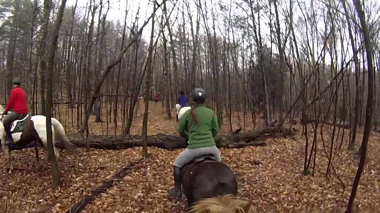 When you go fox hunting and jumping and you're not prepared for jumps ...