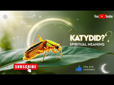 10 Spiritual Meanings of Katydid, and Symbolism - Meaningful Spirit