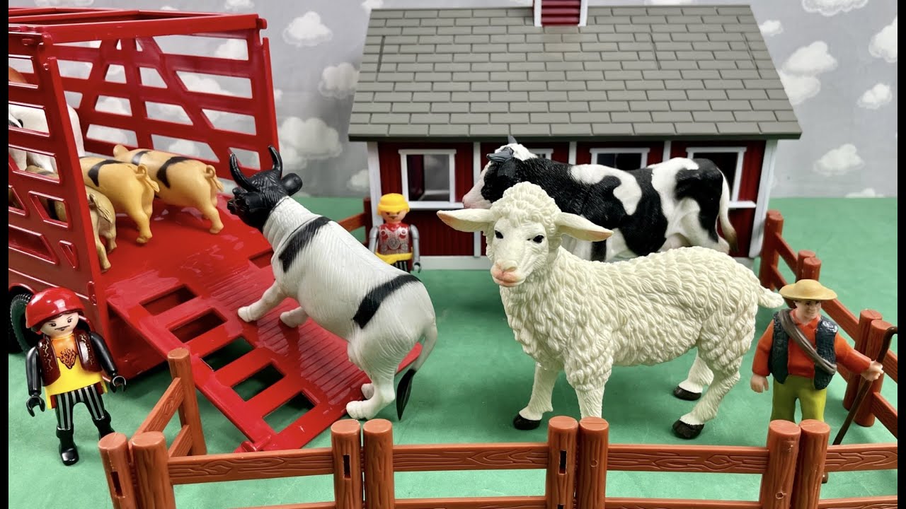 FARM ANIMALS BEING TRANSPORTED / ANIMAIS DA FAZENDA SENDO TRANSPORTADOS ...